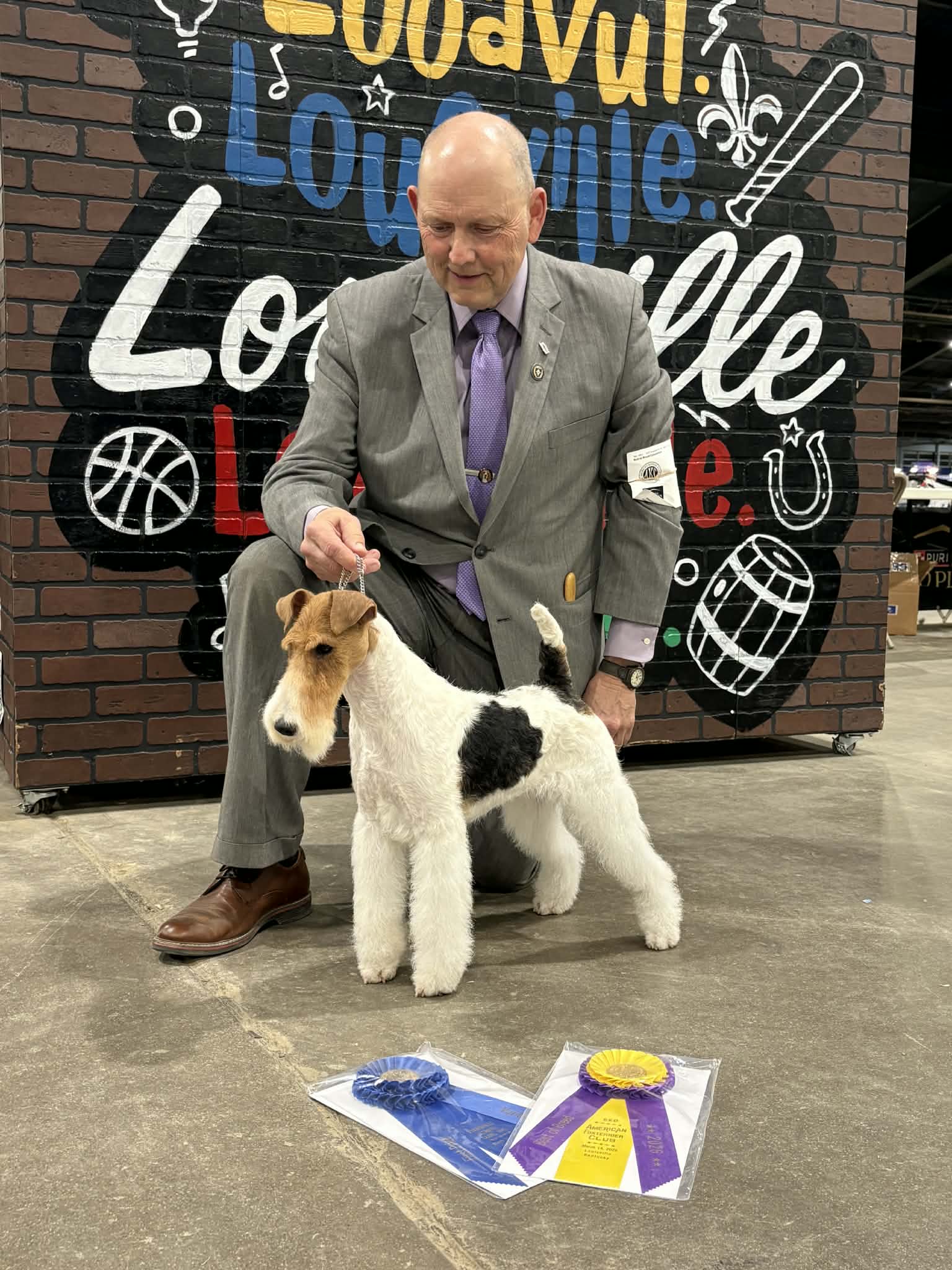 American Fox Terrier Roving National – Saturday, March 14, 2026 ...